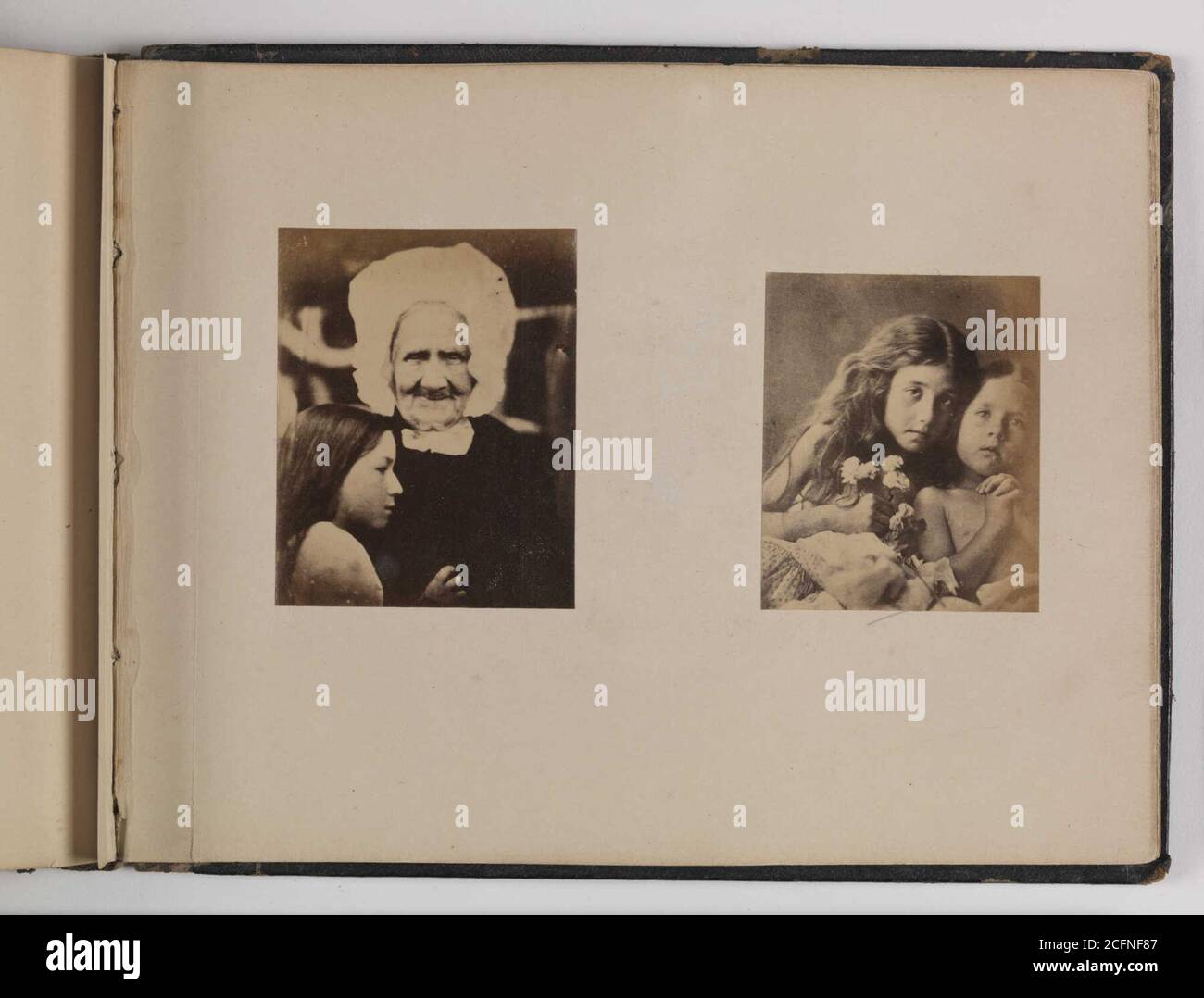 Black and white roses photography hi-res stock photography and images ...