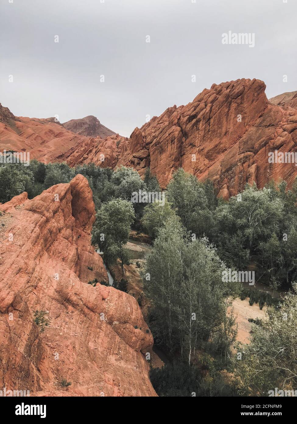 Todra gorge canyon landscape in Morocco. Red color mountains formed by ...