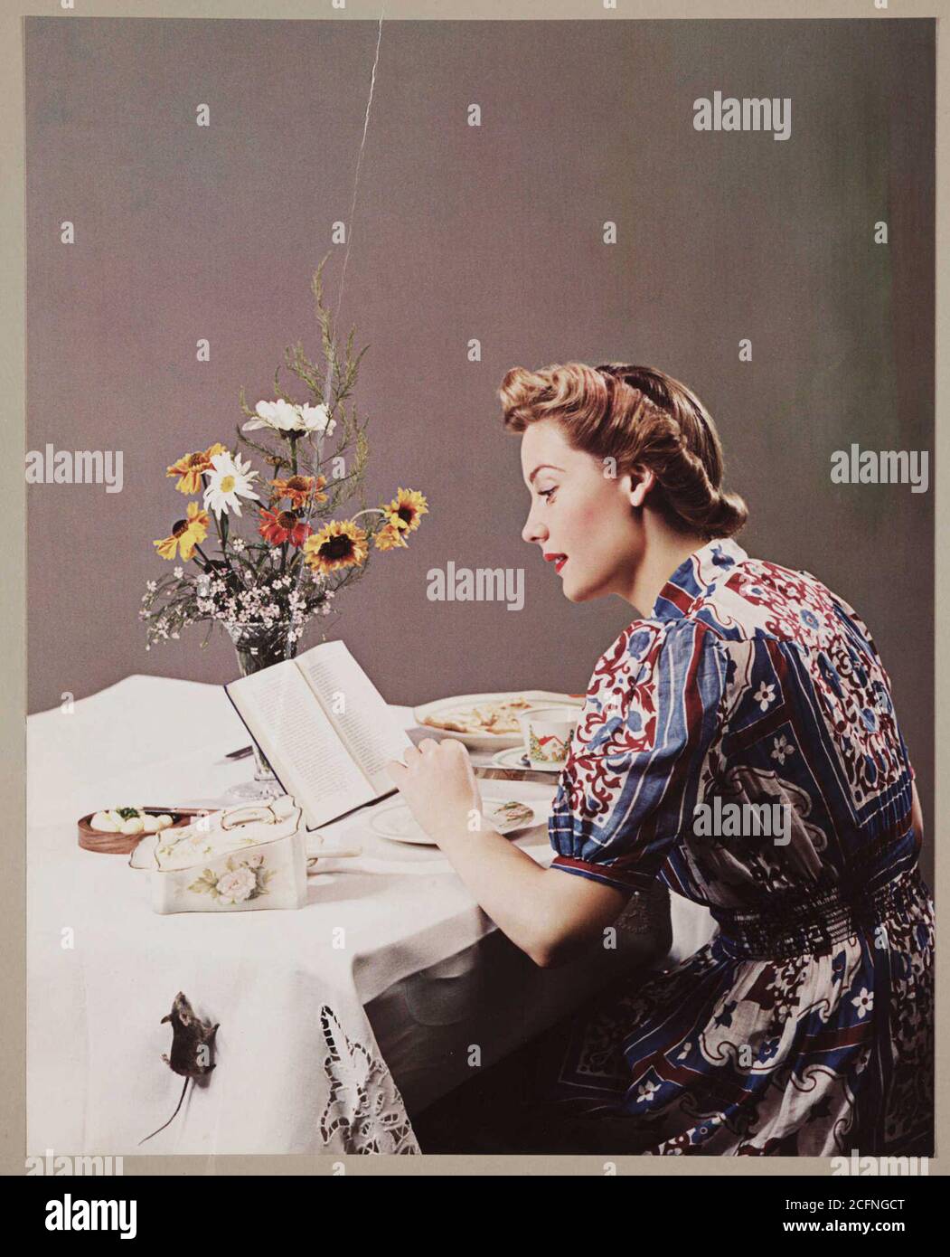 1940s Vintage Woman Reading High Resolution Stock Photography and ...