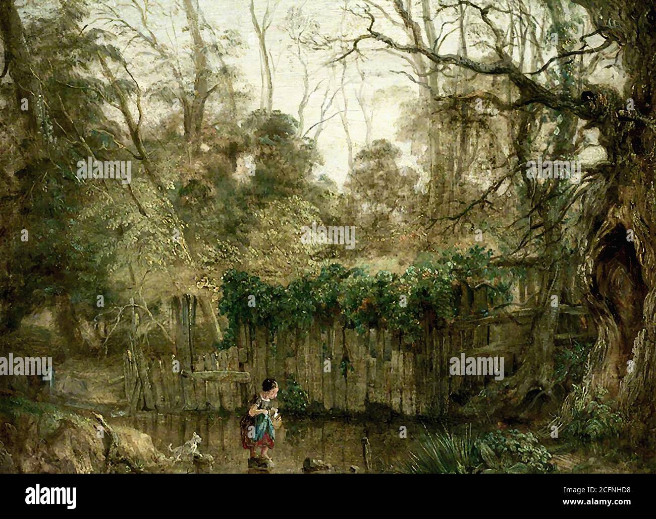 Parrott painting hi-res stock photography and images - Alamy