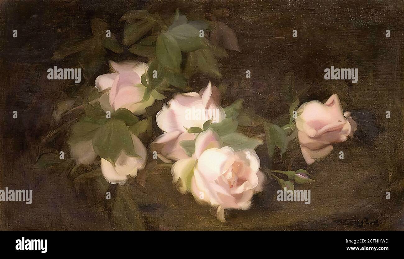 Park Stuart - Pink Roses 1 - British School - 19th Century Stock Photo ...