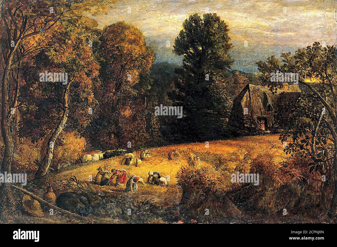 The gleaning field hi-res stock photography and images - Alamy