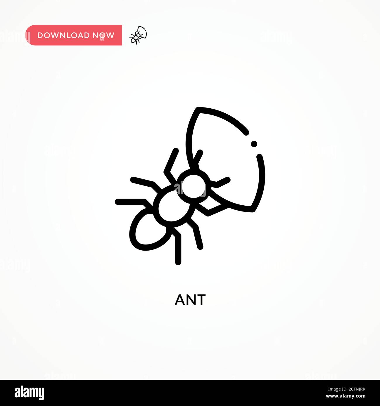 Ants detail Cut Out Stock Images & Pictures - Alamy