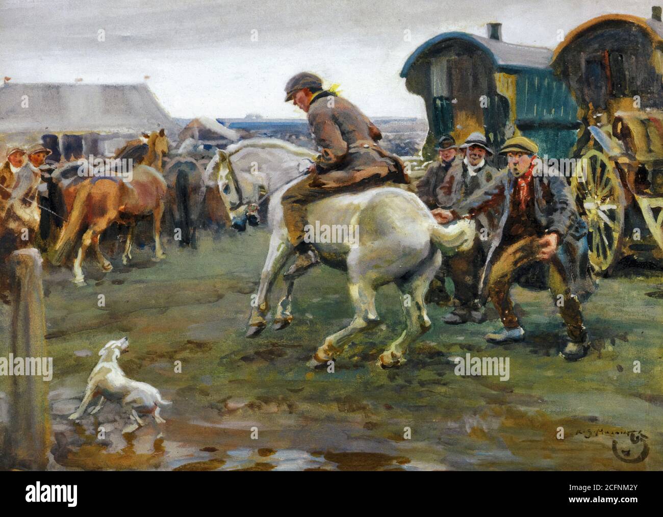 Munnings Alfred James - an Ancient Rebel - British School - 19th ...