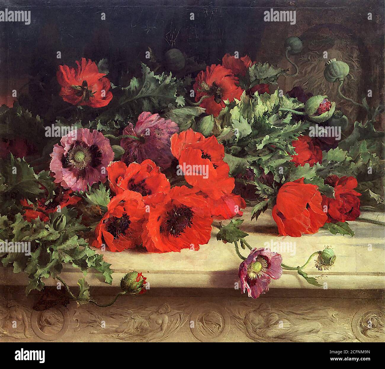 Muckley William Jabez - Poppies - British School - 19th Century Stock ...