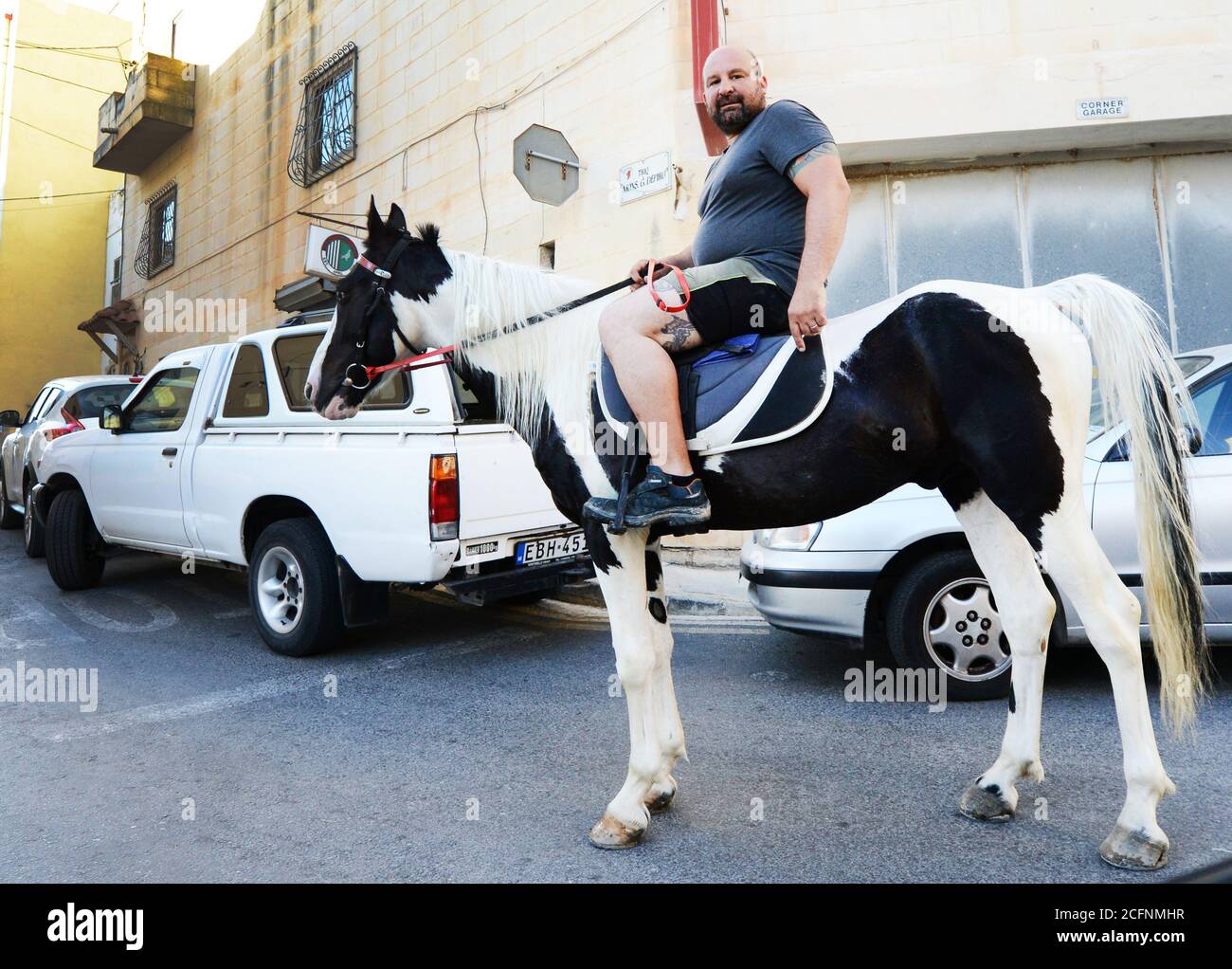 A Maltese man on his horse Stock Photo - Alamy