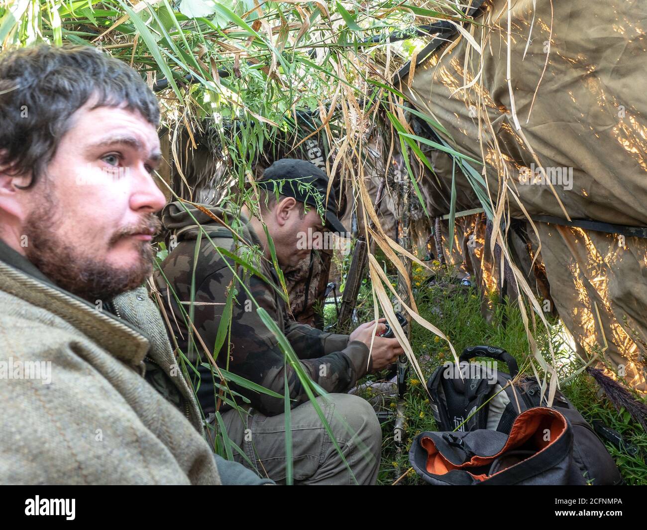 Hunting wild geese ducks snow geese goose hunt Stock Photo - Alamy