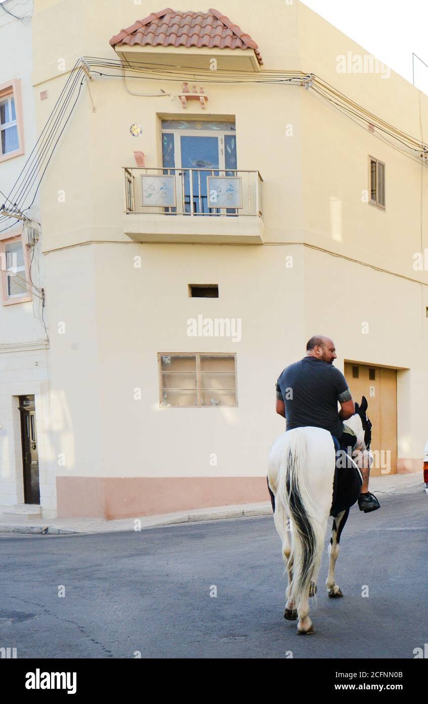 A Maltese man on his horse Stock Photo - Alamy