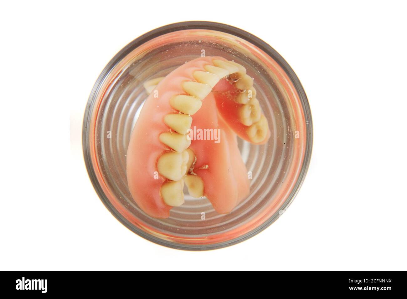 teeth prosthesis in the glass isolated on the white background Stock ...