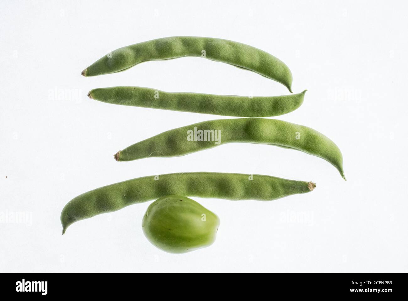 Green under ripe vegetables including a tomato and green beans ...