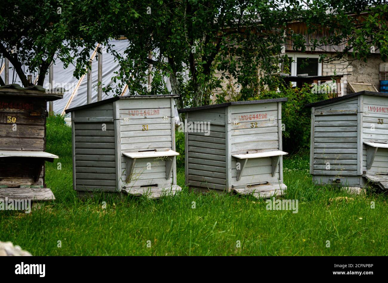 Wooden houses for bees in the countryside. Bee hives Stock Photo - Alamy