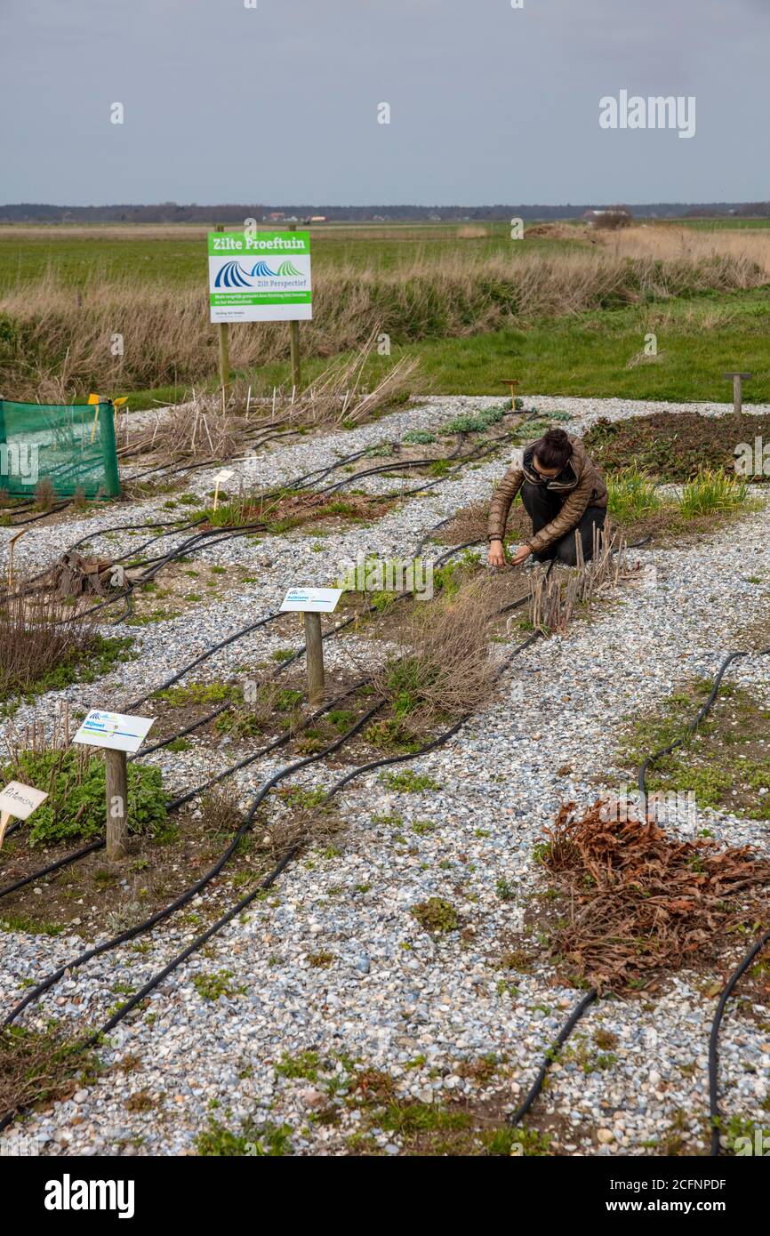 Salt farming foundation hi-res stock photography and images - Alamy