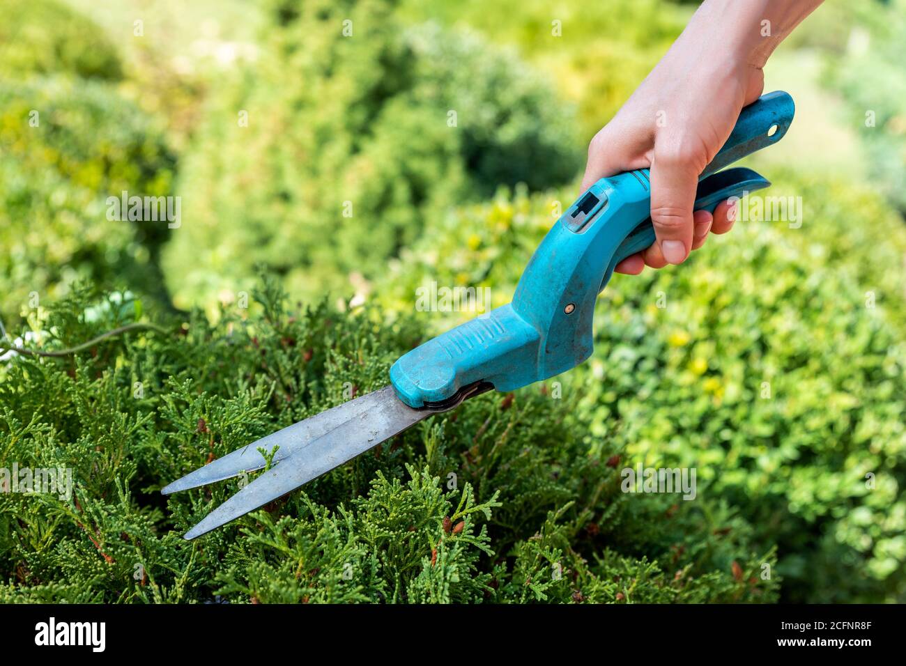 Close-up female gardener worker hand holding in arm grass cutting and ...