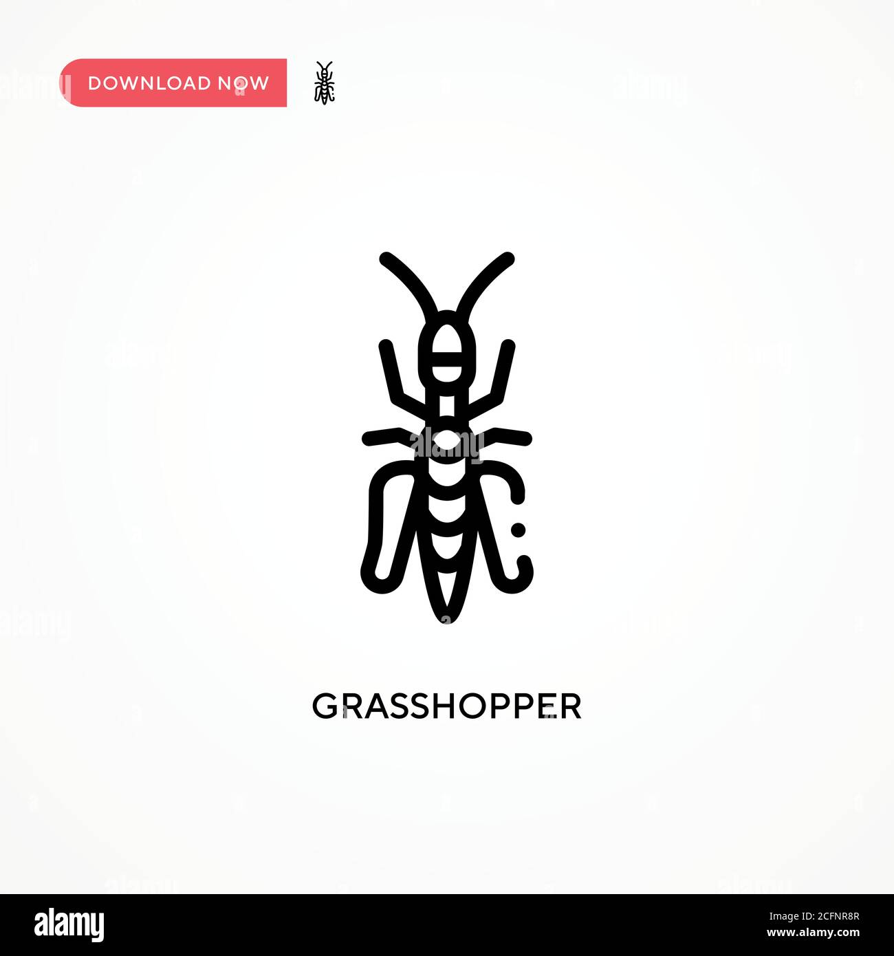 Insects side view Stock Vector Images - Alamy