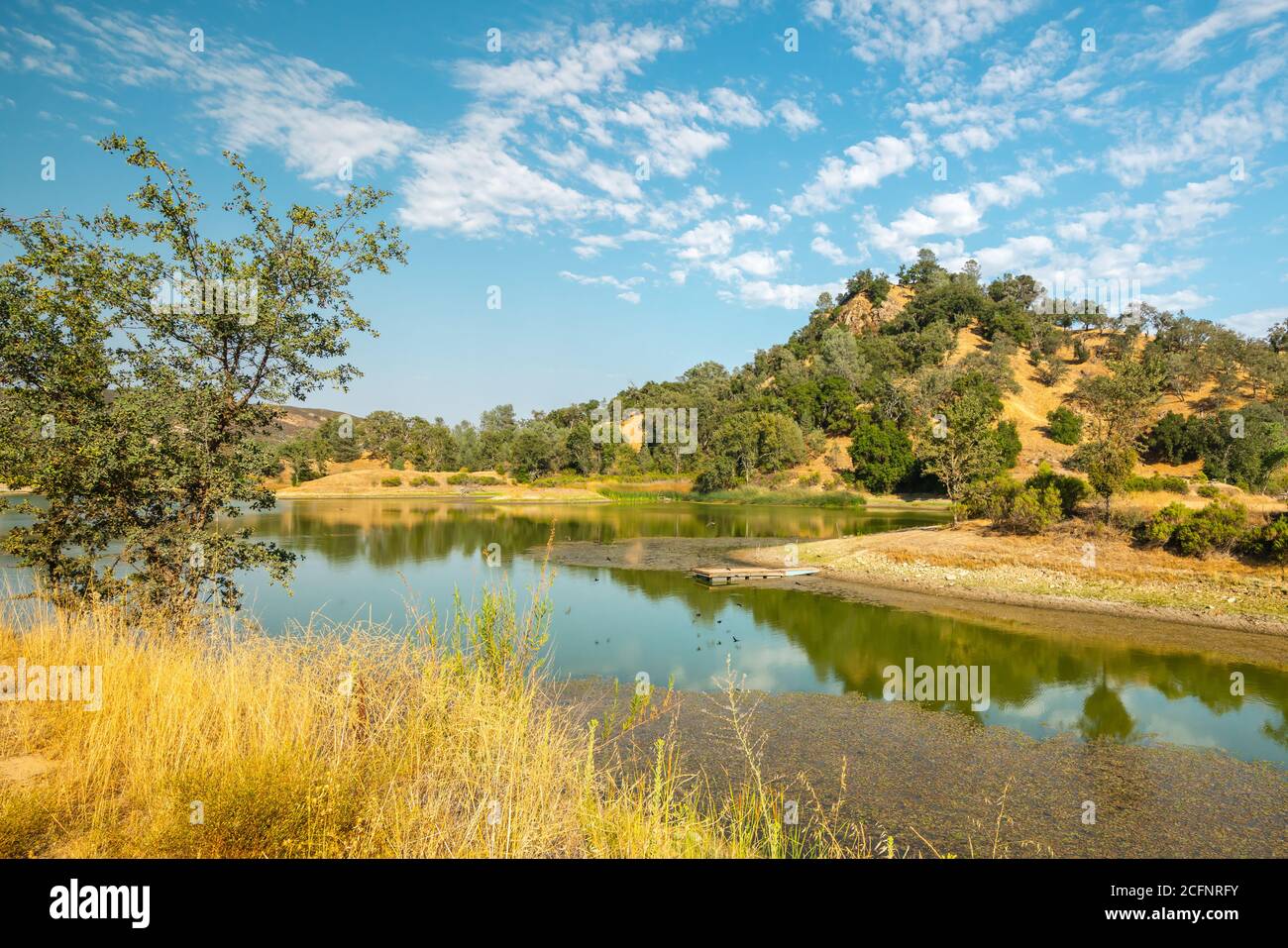 Beautiful landscape with lake and green mountains, California Stock ...