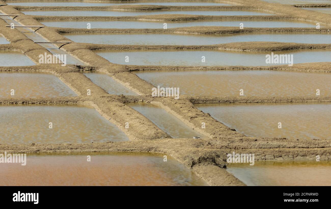 Guerande in Brittany, panorama of the the salt marshes Stock Photo - Alamy
