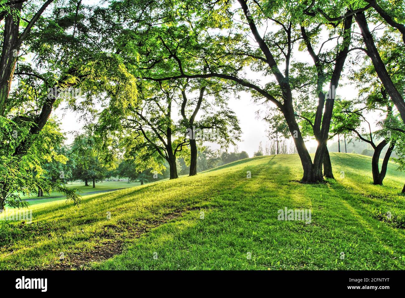 green spring park with early sun light Stock Photo - Alamy
