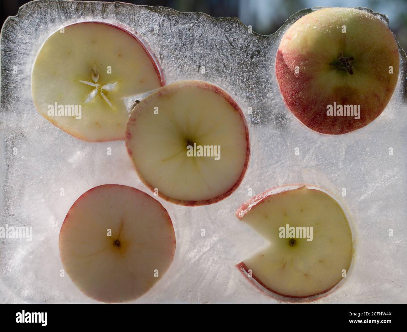 Background fresh season apple in ice cube with air bubbles Stock Photo ...
