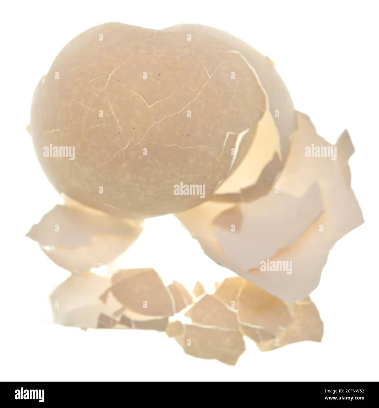 Cracked egg shells isolated on white background Stock Photo - Alamy