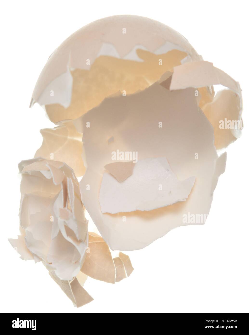 Cracked egg shells isolated on white background Stock Photo - Alamy