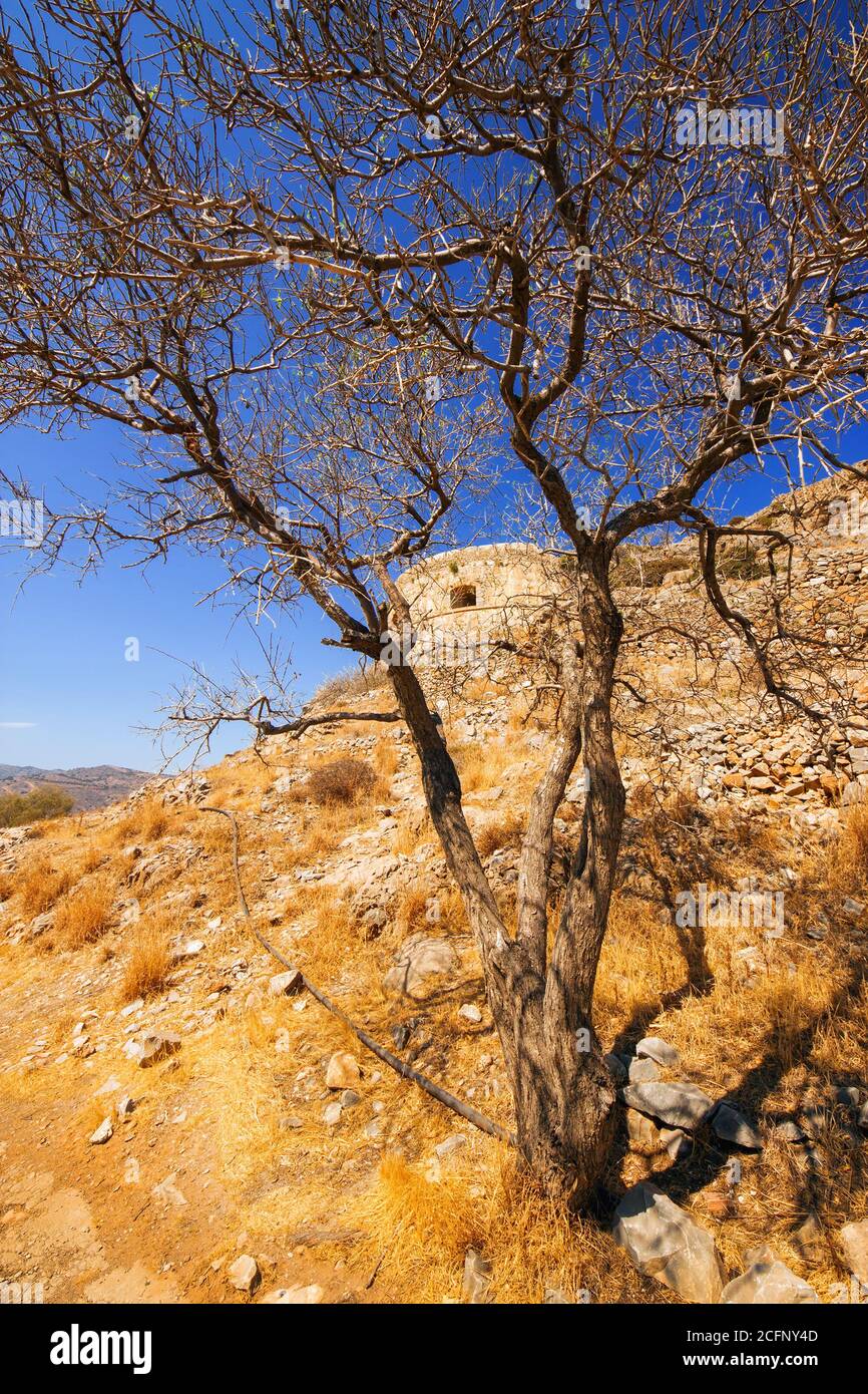 Ancient ruins of a fortified leper colony - Spinalonga (Kalydon) island ...