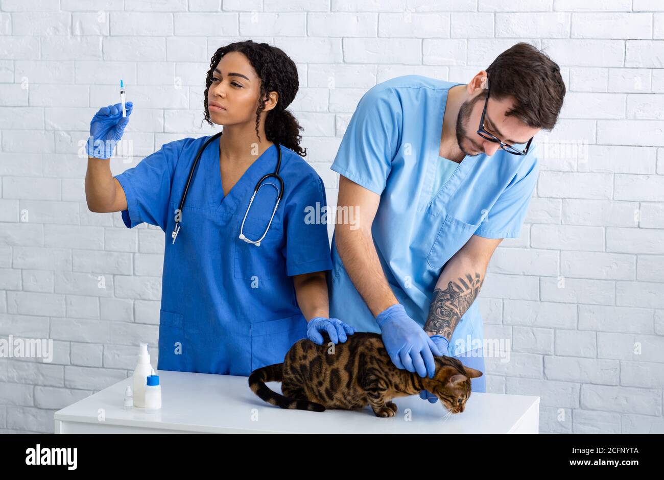 Pet vaccination. Young veterinarian with nurse making injection to cute ...