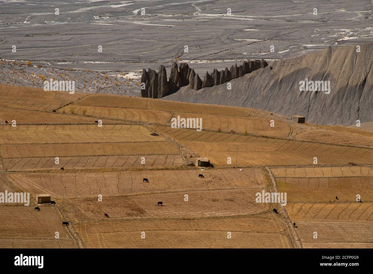 Abstract natural patterns and textures on remote land with small ...