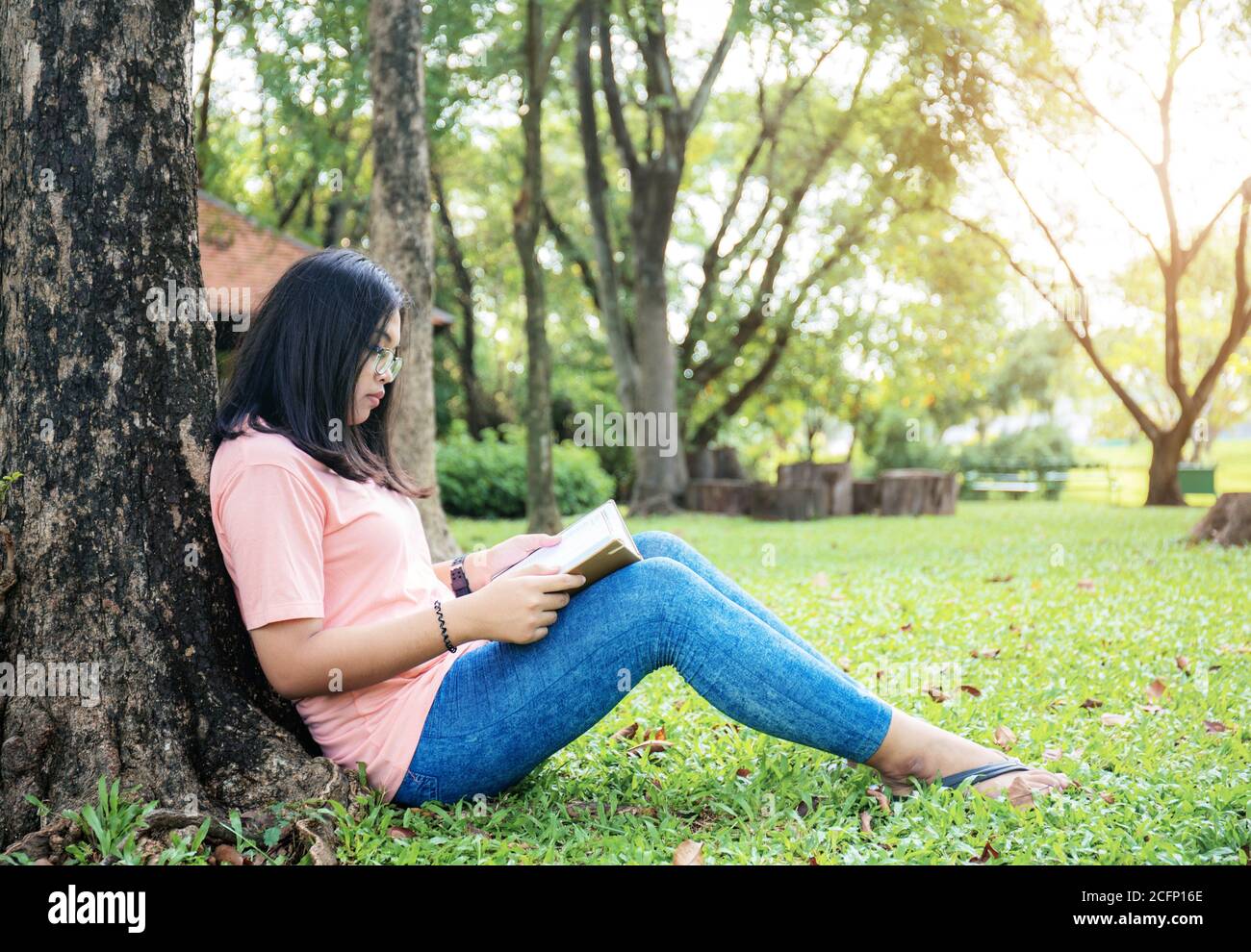 Girl are reading a book on lawn in park with sunlight Stock Photo - Alamy