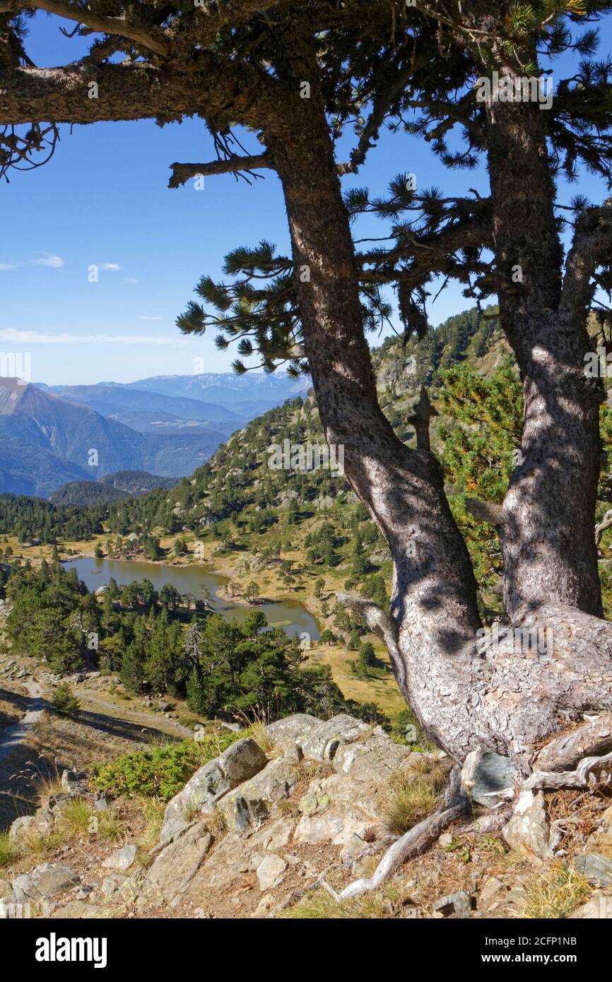 Lac Achard, a wall-known mountain lake in Chamrousse range Stock Photo ...