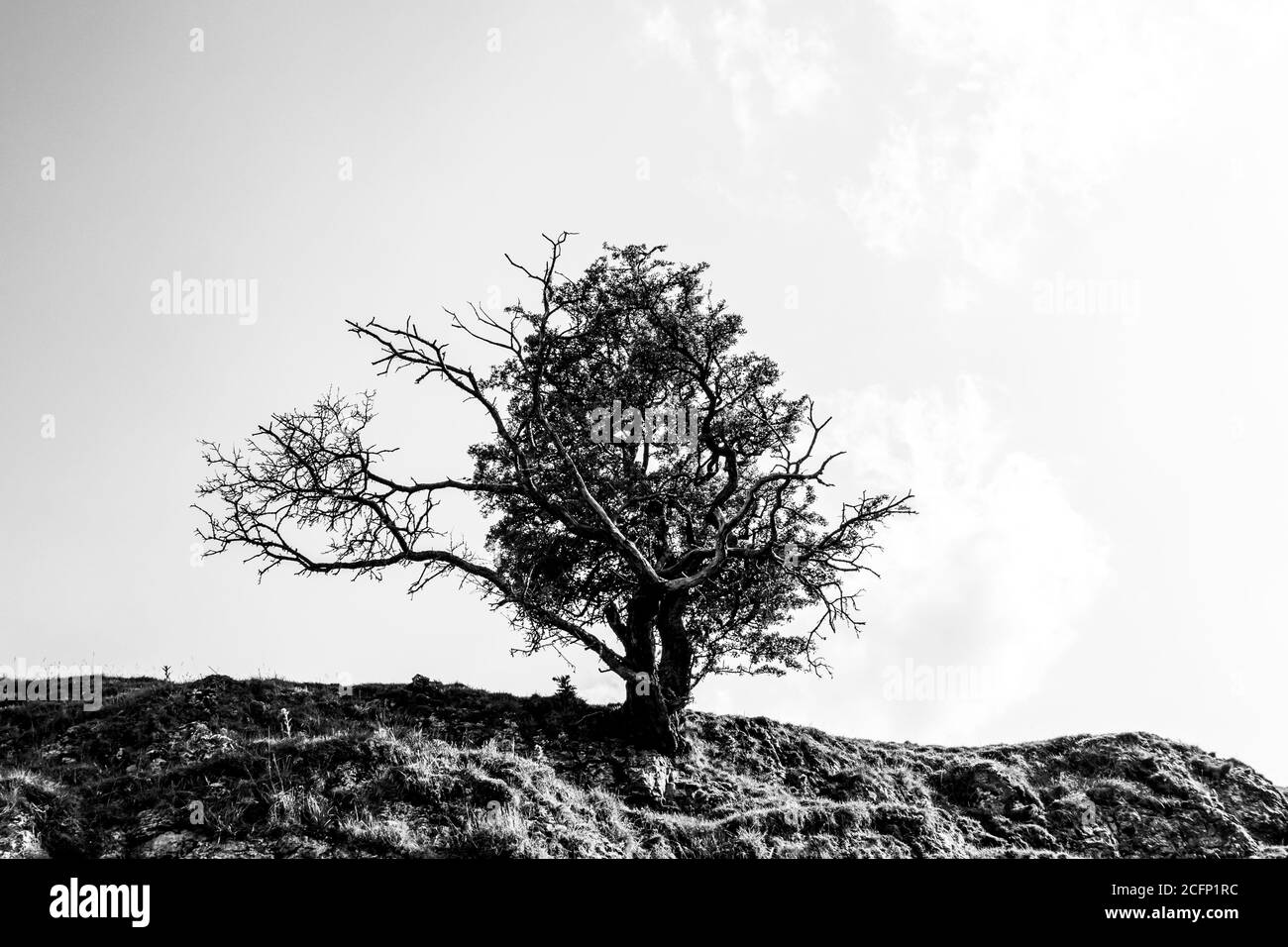 Dovedale autumn Black and White Stock Photos & Images - Alamy