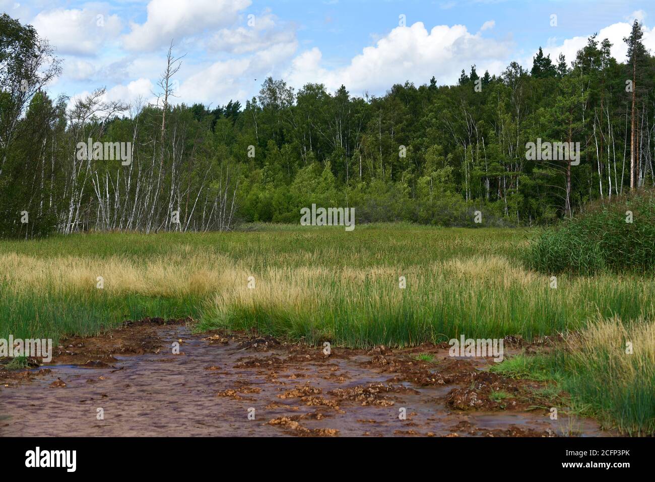 Landscape at the Soos Nature Reserve, Czech Republic Stock Photo - Alamy