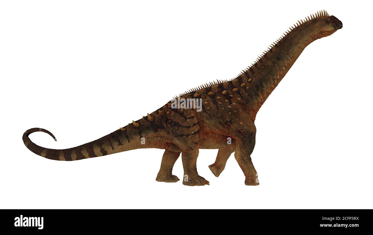Alamosaurus dinosaur walking peacefully - 3D render Stock Photo - Alamy
