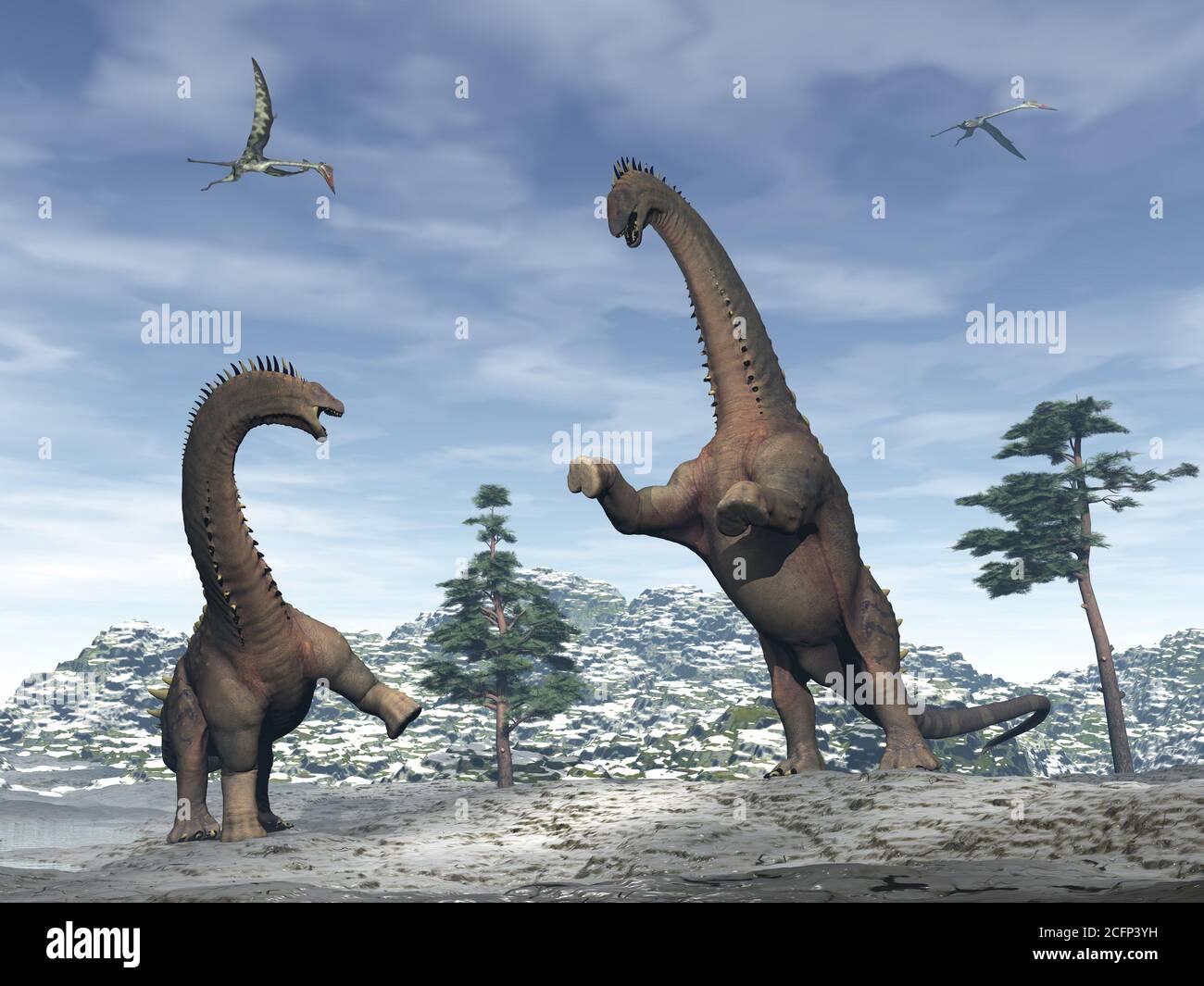 Alamosaurus dinosaurs fighting in the mountain - 3D render Stock Photo ...