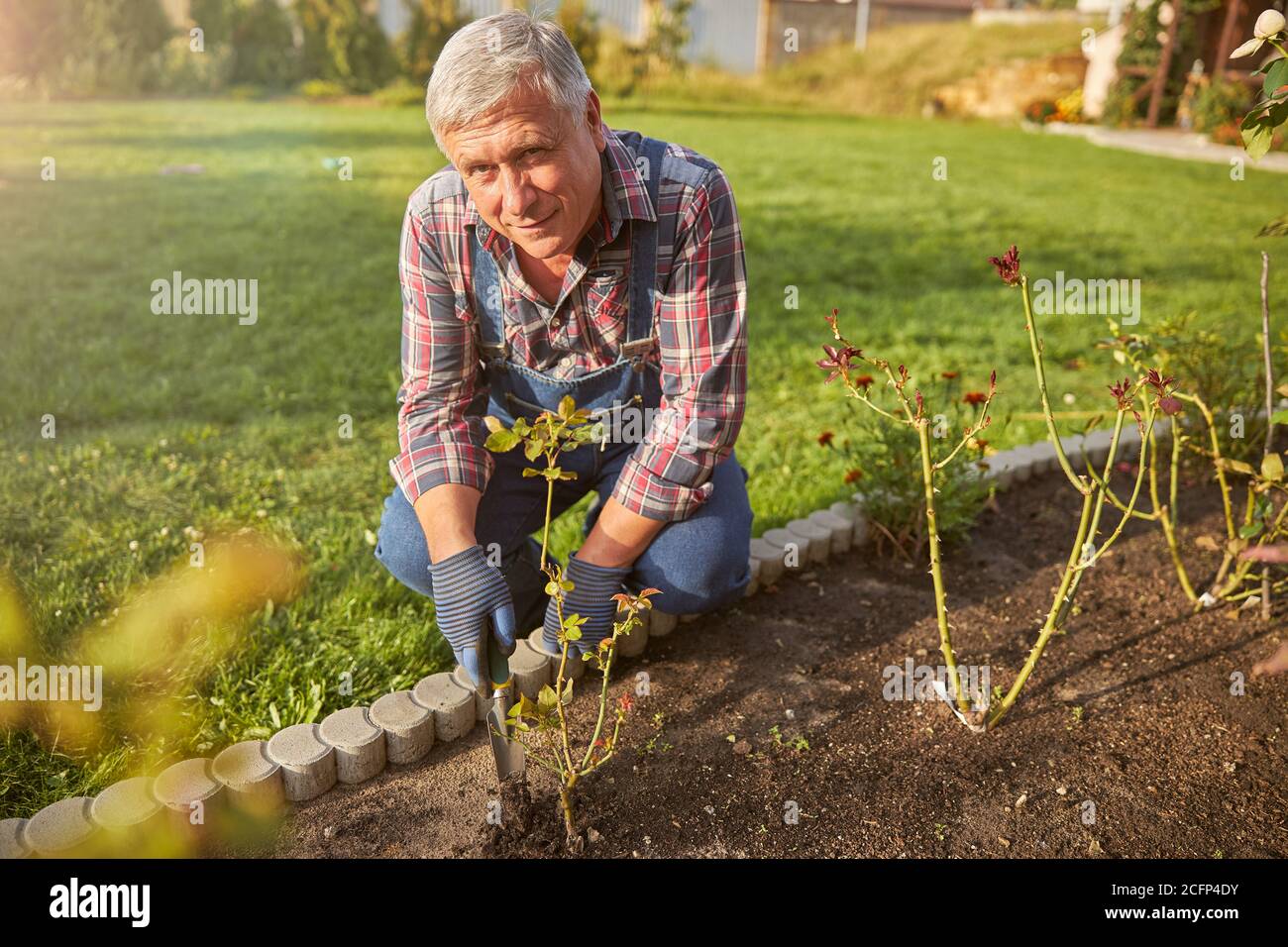 Man digging flowers hi-res stock photography and images - Alamy