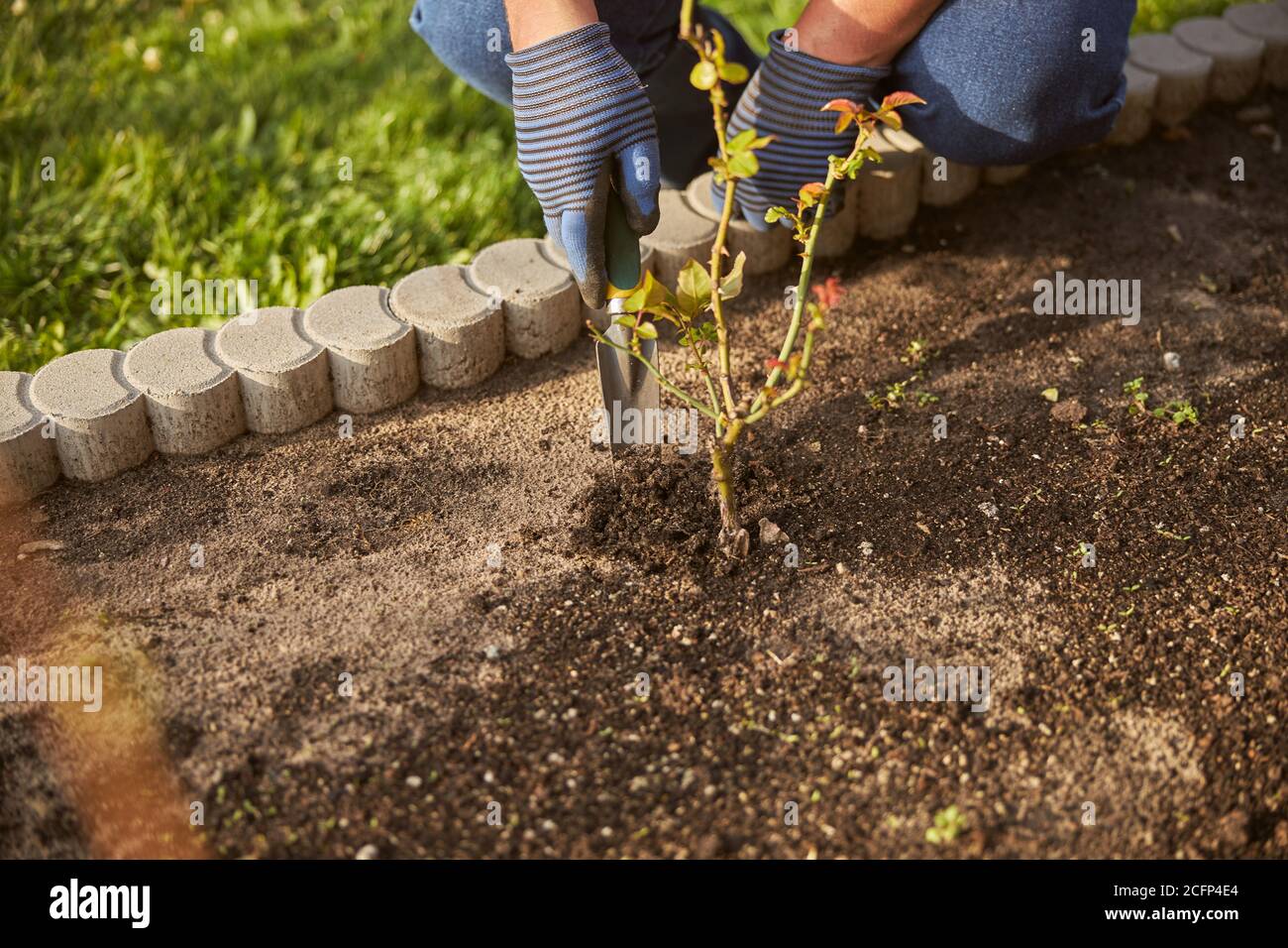 Caring hands of a farmer digging in the soil Stock Photo - Alamy