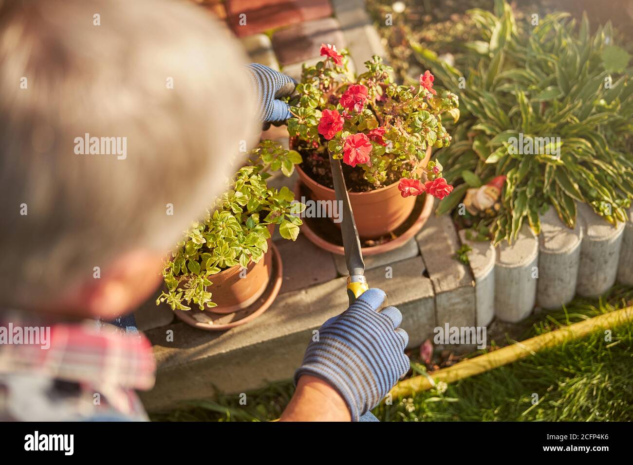 Gardener holding trowel near hi-res stock photography and images - Alamy
