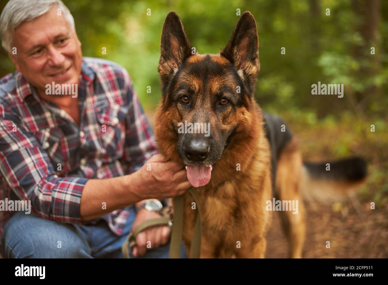 Aging man posing with his german shepherd in the woods Stock Photo - Alamy