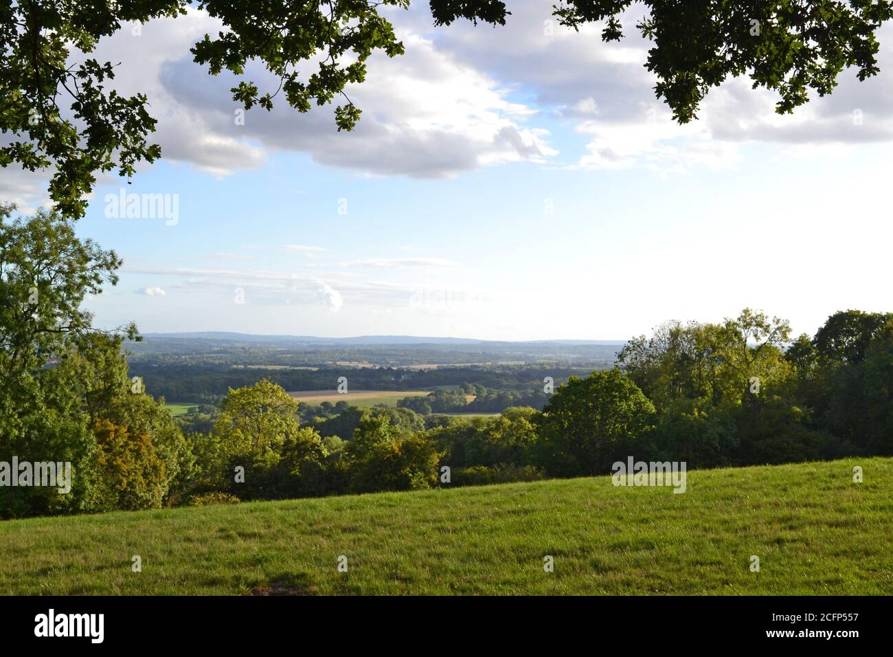 Oaktree kent hi-res stock photography and images - Alamy