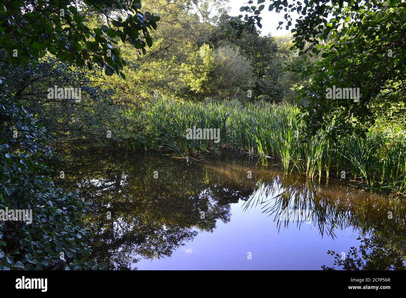 Spring fed pond hi-res stock photography and images - Alamy