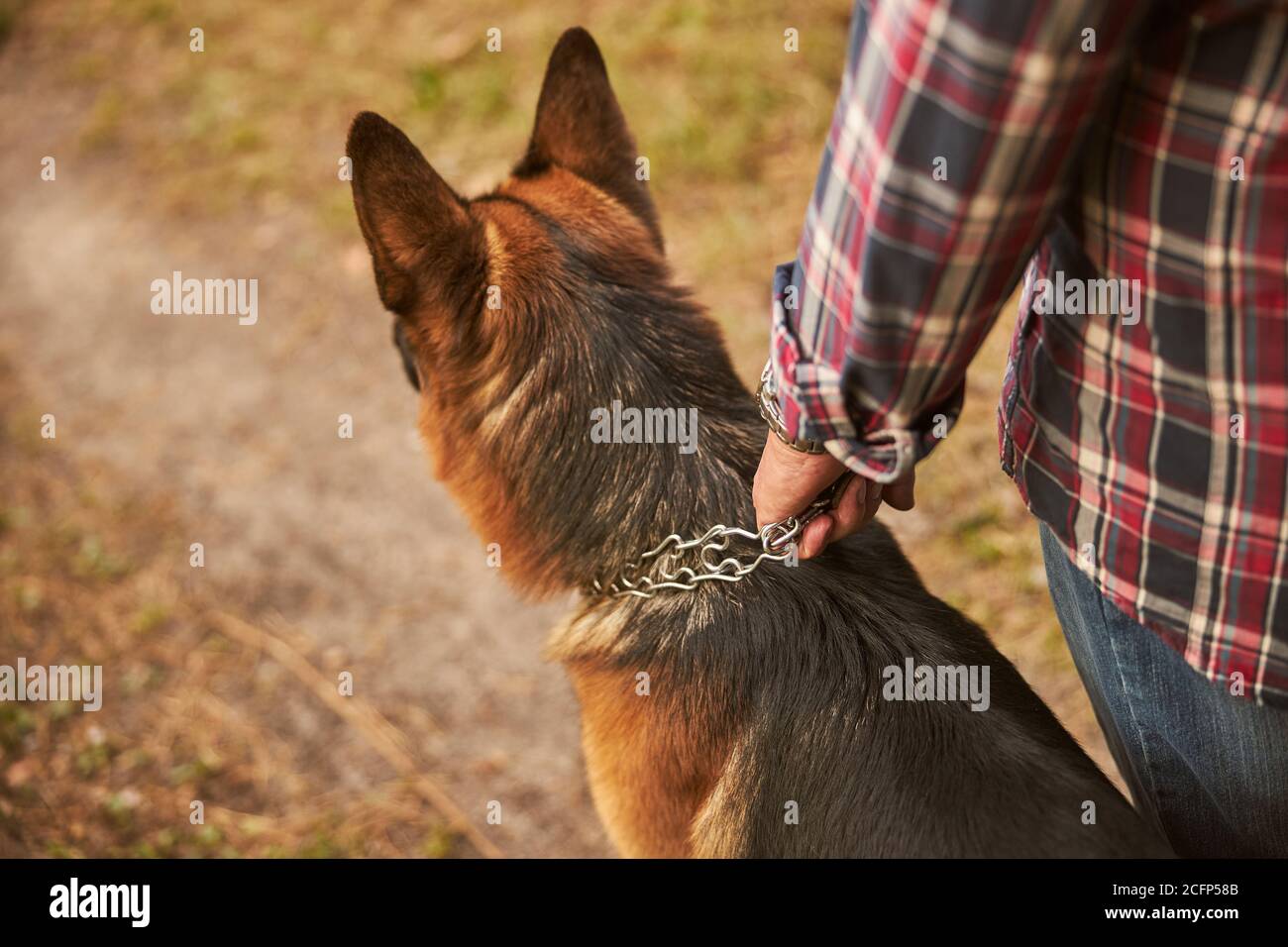 Man hodling his german shepherd by a collar Stock Photo - Alamy