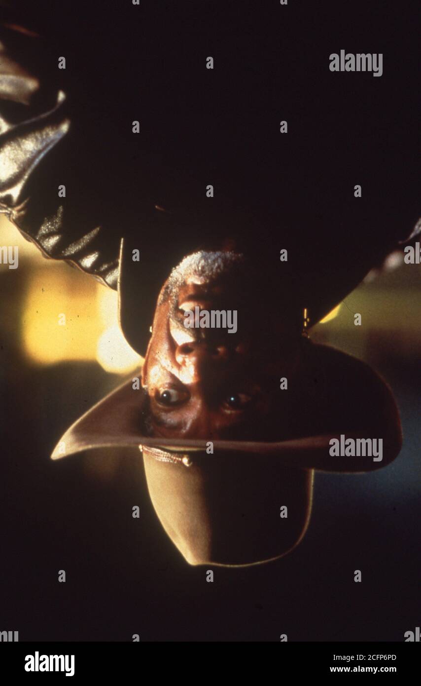 morgan freeman, hard rain, 1998 Stock Photo - Alamy