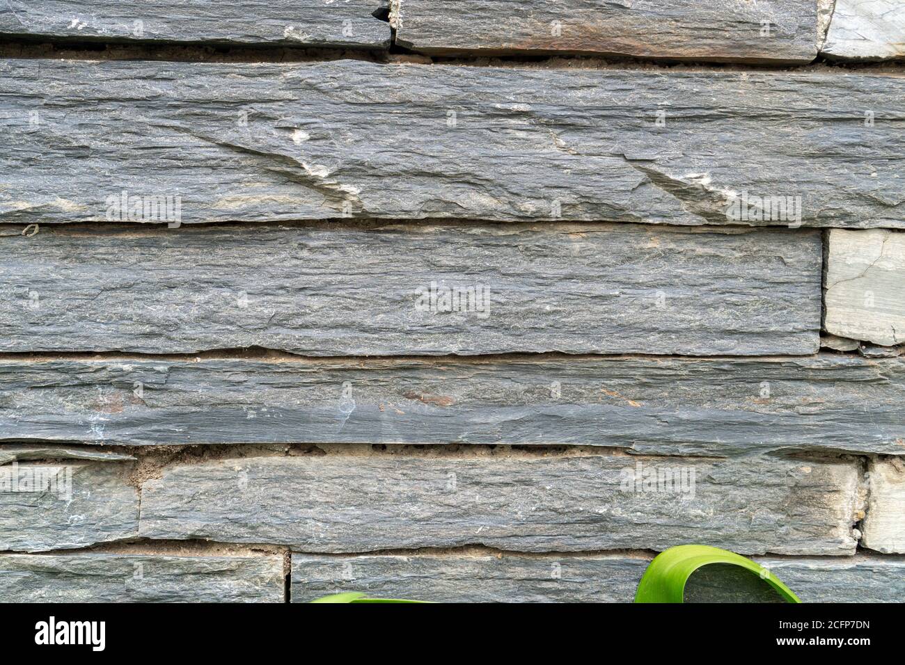 Black slate block wall texture. Background close up with green foliage ...