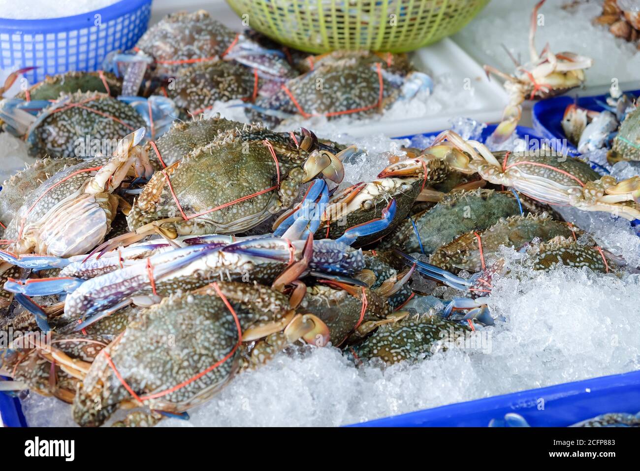 Image of Fresh raw crab at sea food market,Thailand Stock Photo - Alamy