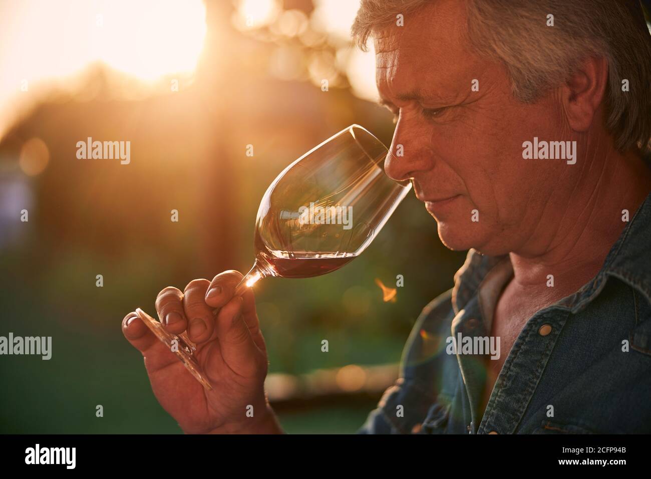 Gorgeous bouquet of old red wine in the glass Stock Photo - Alamy