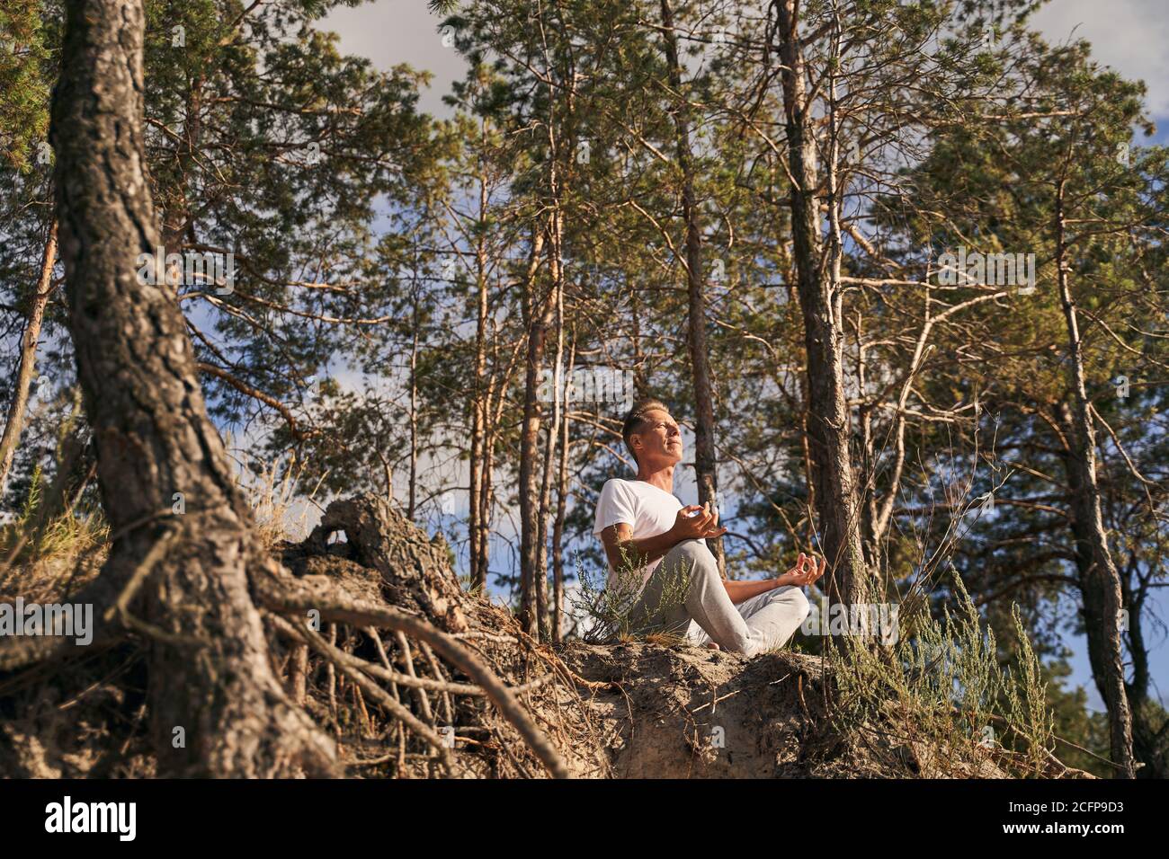 Calm man doing meditation in green forest Stock Photo - Alamy