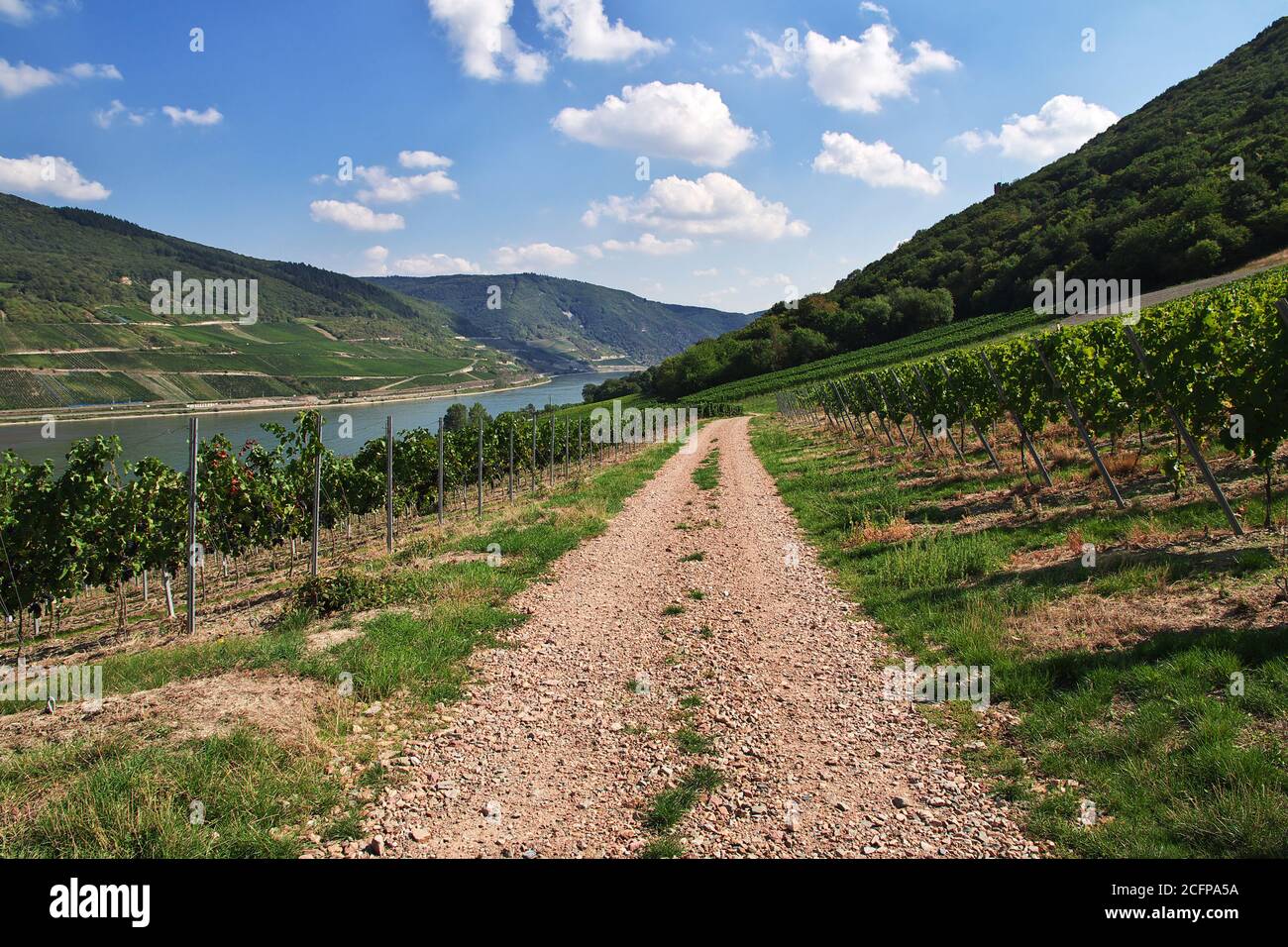 Rhine waterfront road hi-res stock photography and images - Alamy