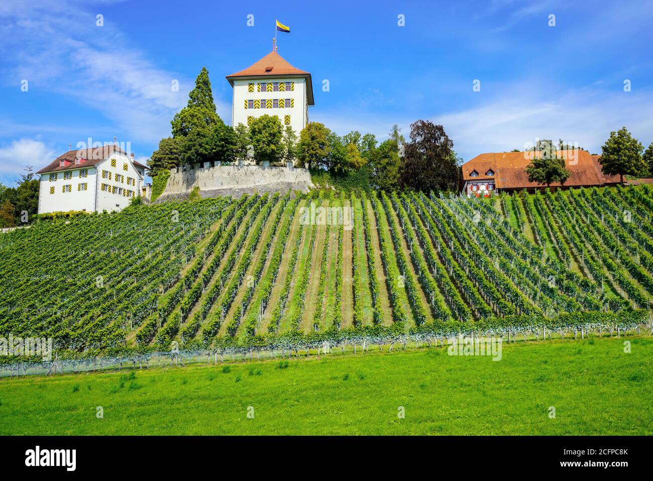 Vintage panoramic view of lucerne hi-res stock photography and images ...