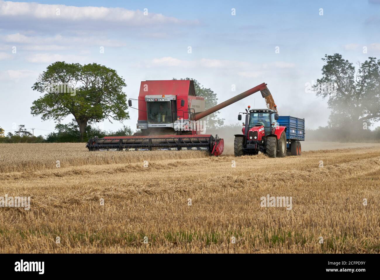 Massey Ferguson Combine High Resolution Stock Photography and Images ...