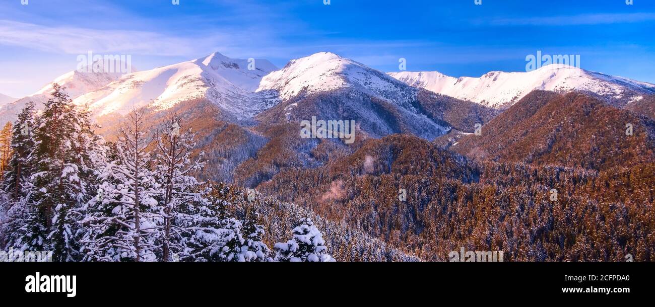 Snowy Mountain Banner