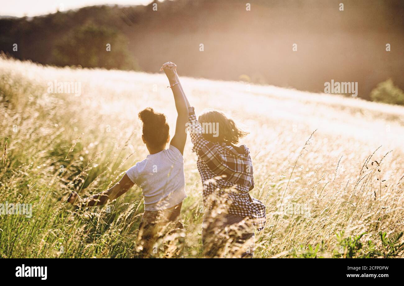 Rear view of young teenager girls friends outdoors in nature, having ...